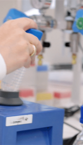 TNO’s translational models excel in preclinical research