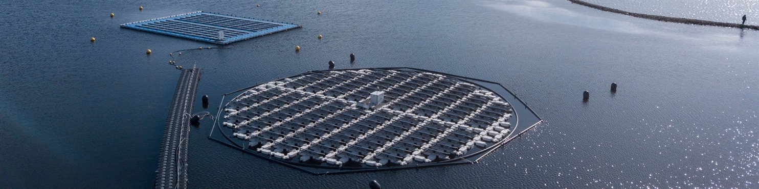 Floating solar | TNO