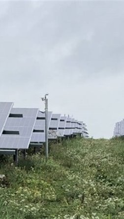 Better solar farm design needed | TNO