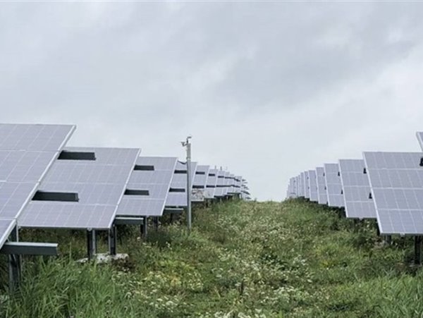 Better solar farm design needed | TNO