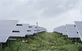 Better solar farm design needed | TNO