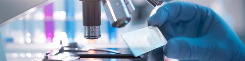 Translational preclinical efficacy models | TNO