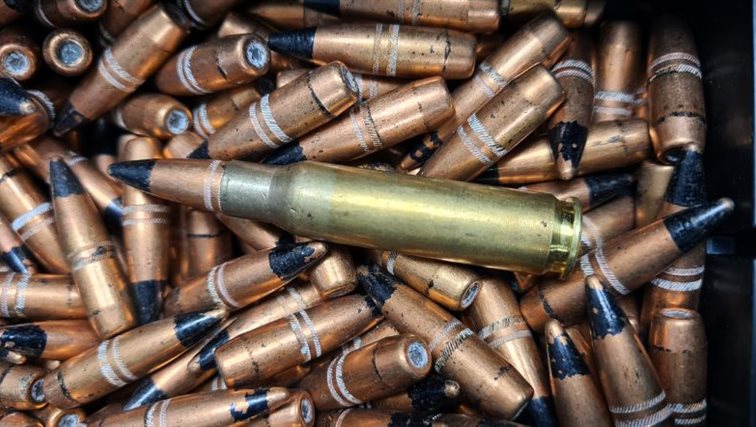 Military weapon systems and ammunitions | TNO