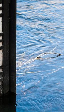 TNO presents new edition of 'Geology of the Netherlands'