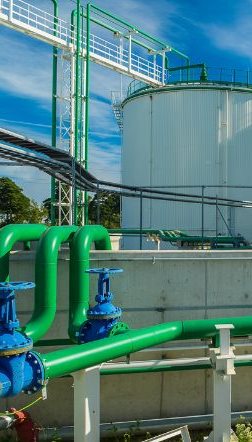 TNO 2025: Impact and growth through focus | TNO