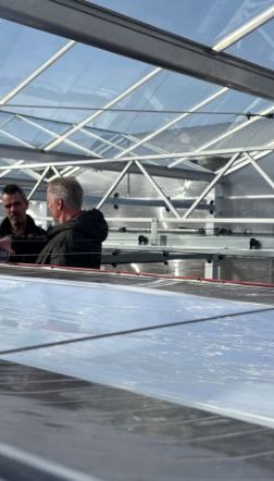 TNO 2025: Impact and growth through focus | TNO