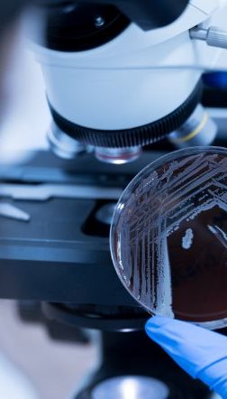 Gezonde samenleving | TNO