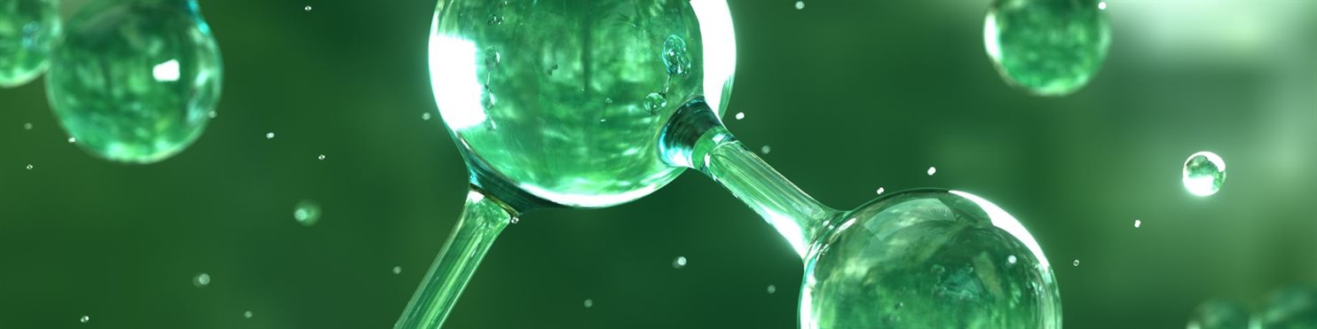 Biobased materials | TNO