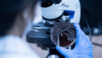 ATACH selects TNO model for climate-related health risks in Kenya