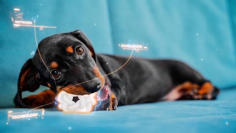 The R-ladder: key to a circular economy for plastics