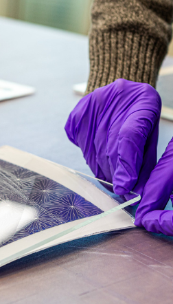 Sustainable solar panels | TNO