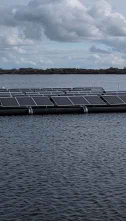 Sustainable society | TNO