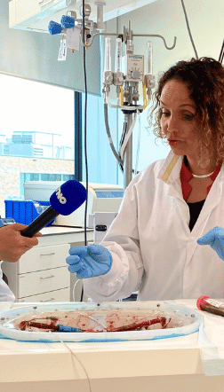 Careers | TNO