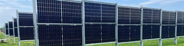 Study solar systems in dairy farming launched | TNO